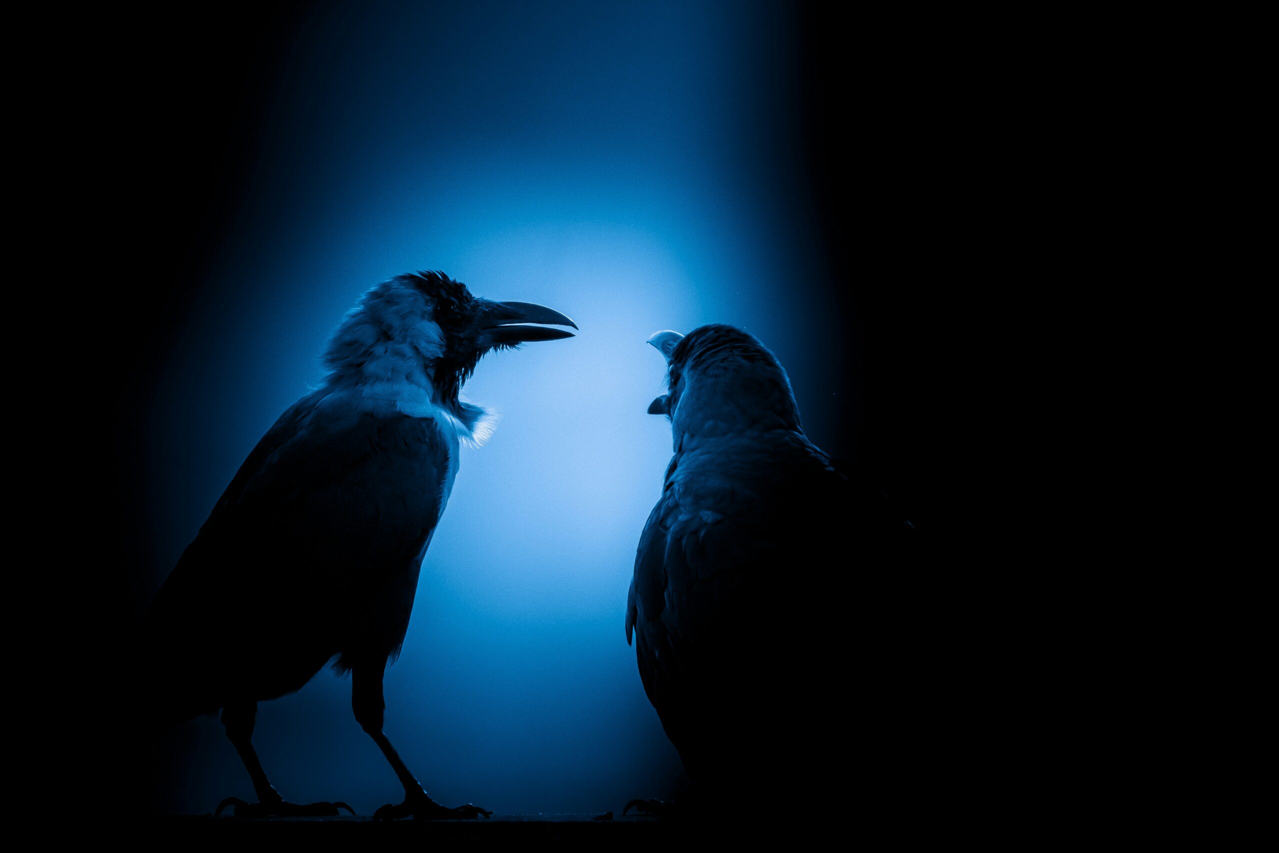 "Expressing Anger Without Doing Damage in EFT" with Kathryn Rheem and ...
